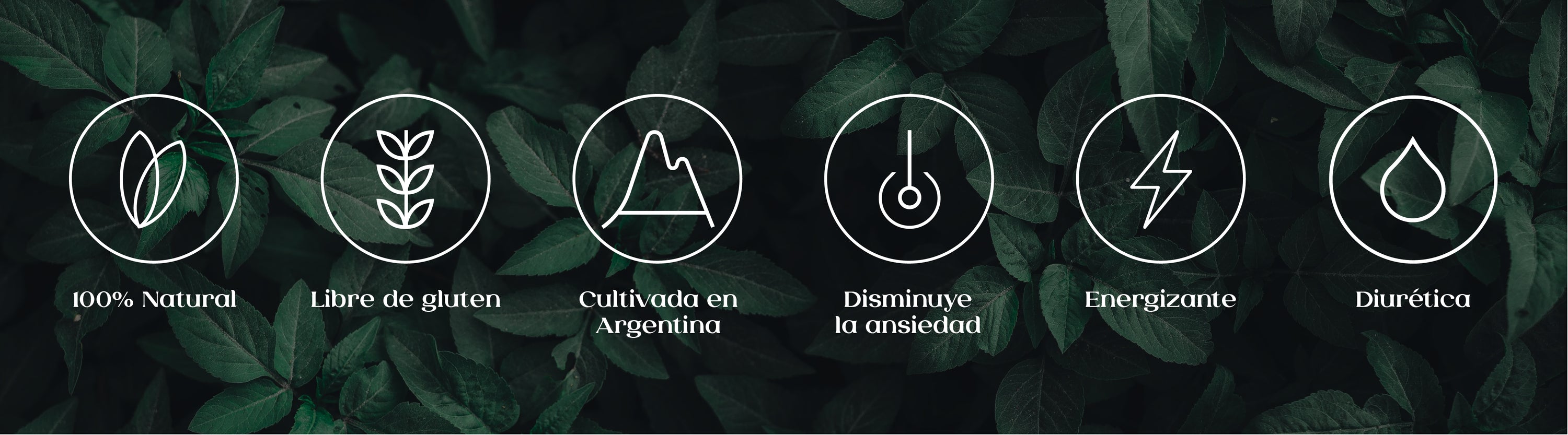 Compra Yerba Mate en Colombia | Matena - Calidad Garantizada – Matena ...